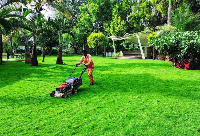 Scope of Work Groundcare Landscape Maintenance Services